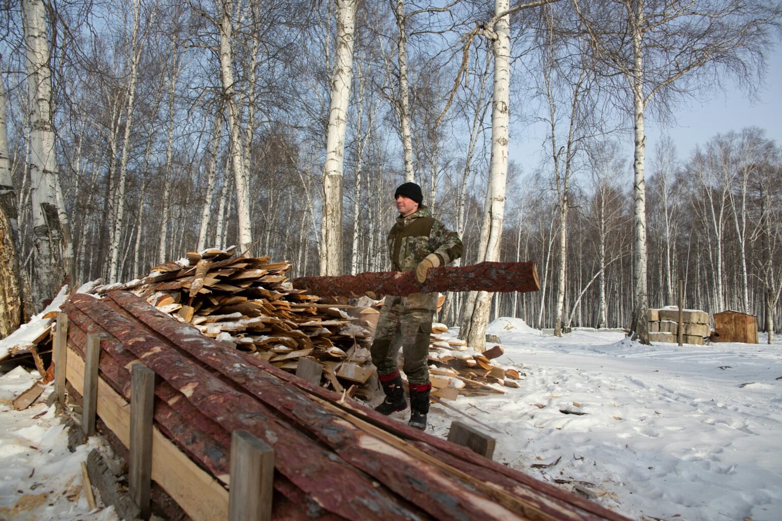 Can You Legally Collect Firewood In The UK? 2025 Guide