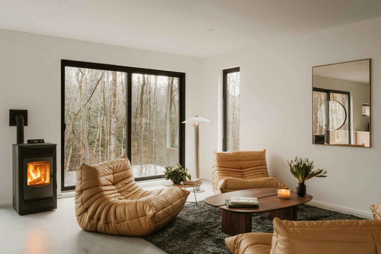 Best Wood Stoves Under $1500 In 2026 (Budget Buyer's Guide)